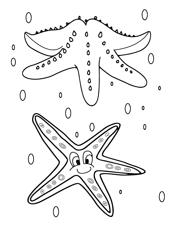 Seestern Malvorlage