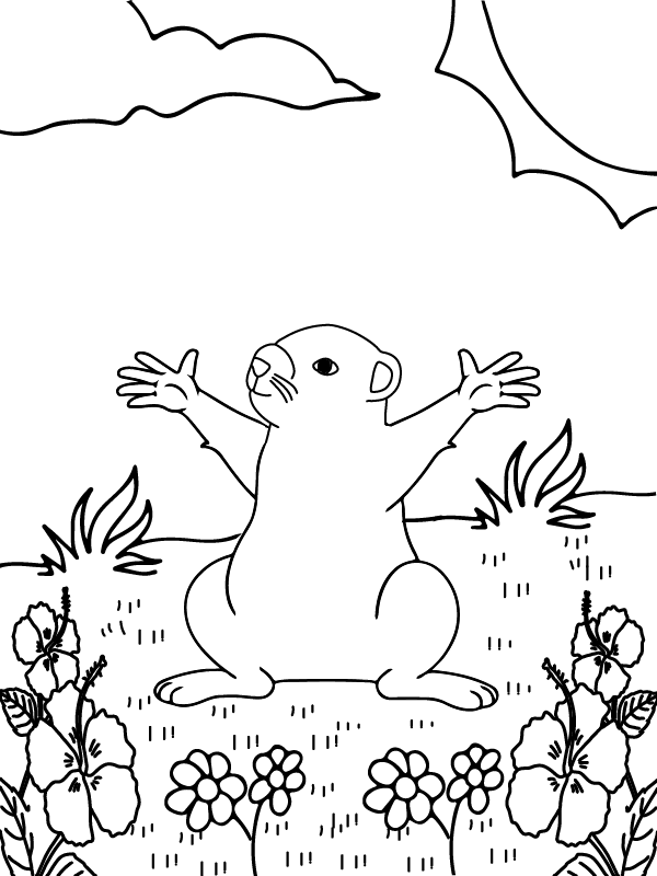 Groundhog Coloring Page